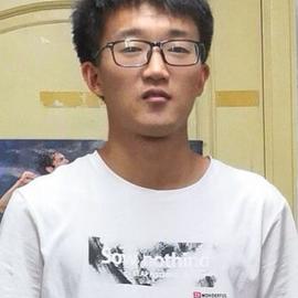 Hongjun Liu（刘红军） | MCVR Research Group